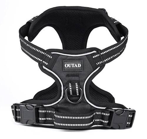 Best Cockapoo Harness (No Pull, Puppy and Adult) | Cockapoo HQ