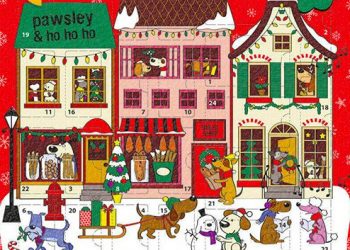 Facts and Fun Archives - Cockapoo HQ