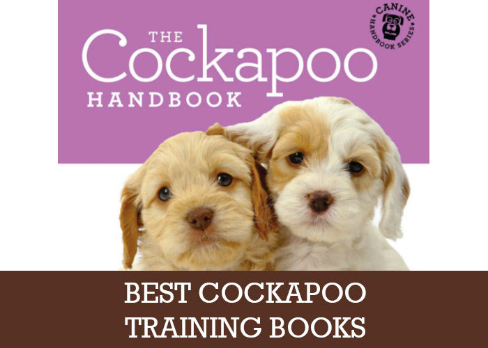 Cockapoo Books (Training, Puppy, Owners Guide) | Cockapoo HQ