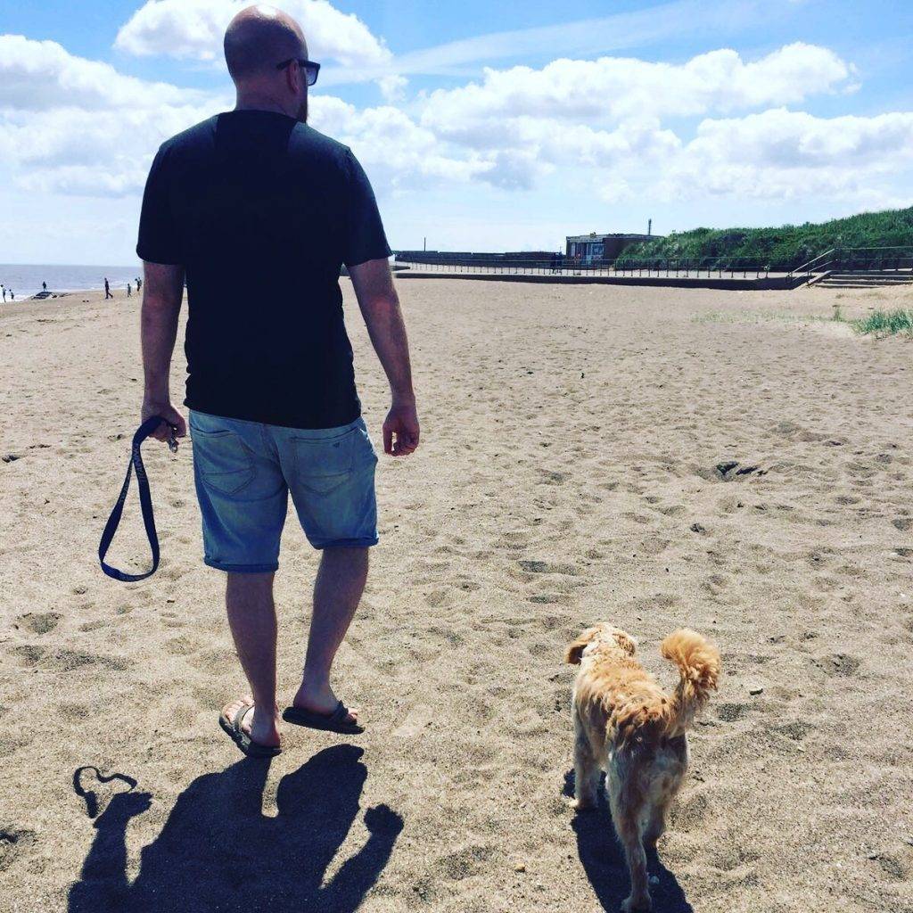 10 Ways To Become A Better Cockapoo Owner - Cockapoo HQ