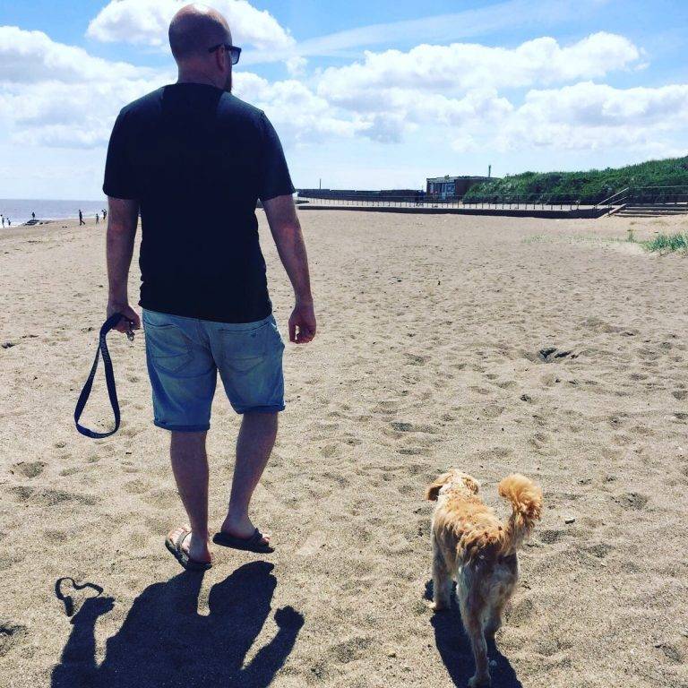 10 Ways To Become A Better Cockapoo Owner - Cockapoo HQ