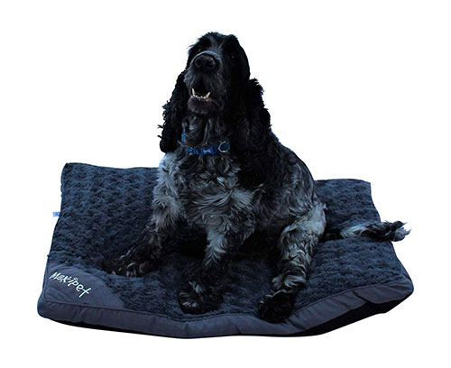 Best Dog Beds for Cockapoos - Cockapoo HQ