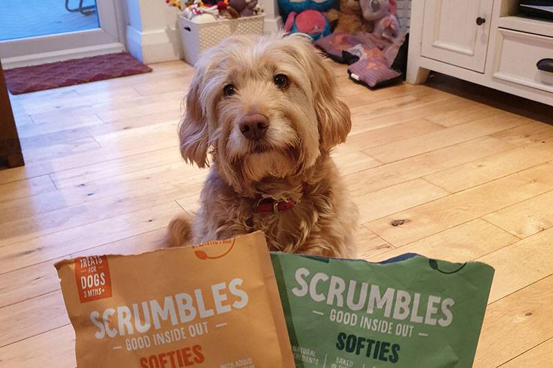 Sponsored: Scrumbles Softies Review - Cockapoo HQ