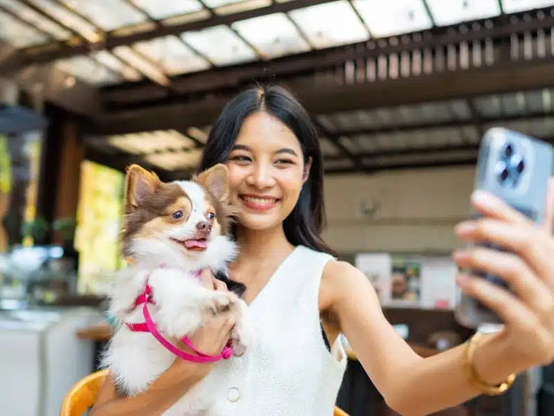 10 Interactive Veterinary Social Media Post Ideas To Know Your Audience ...